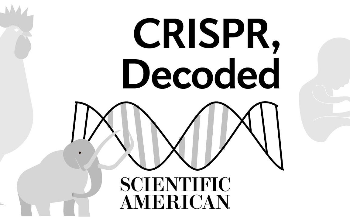 【科普】【科学美国人】【中英文字幕】解码:CRISPR