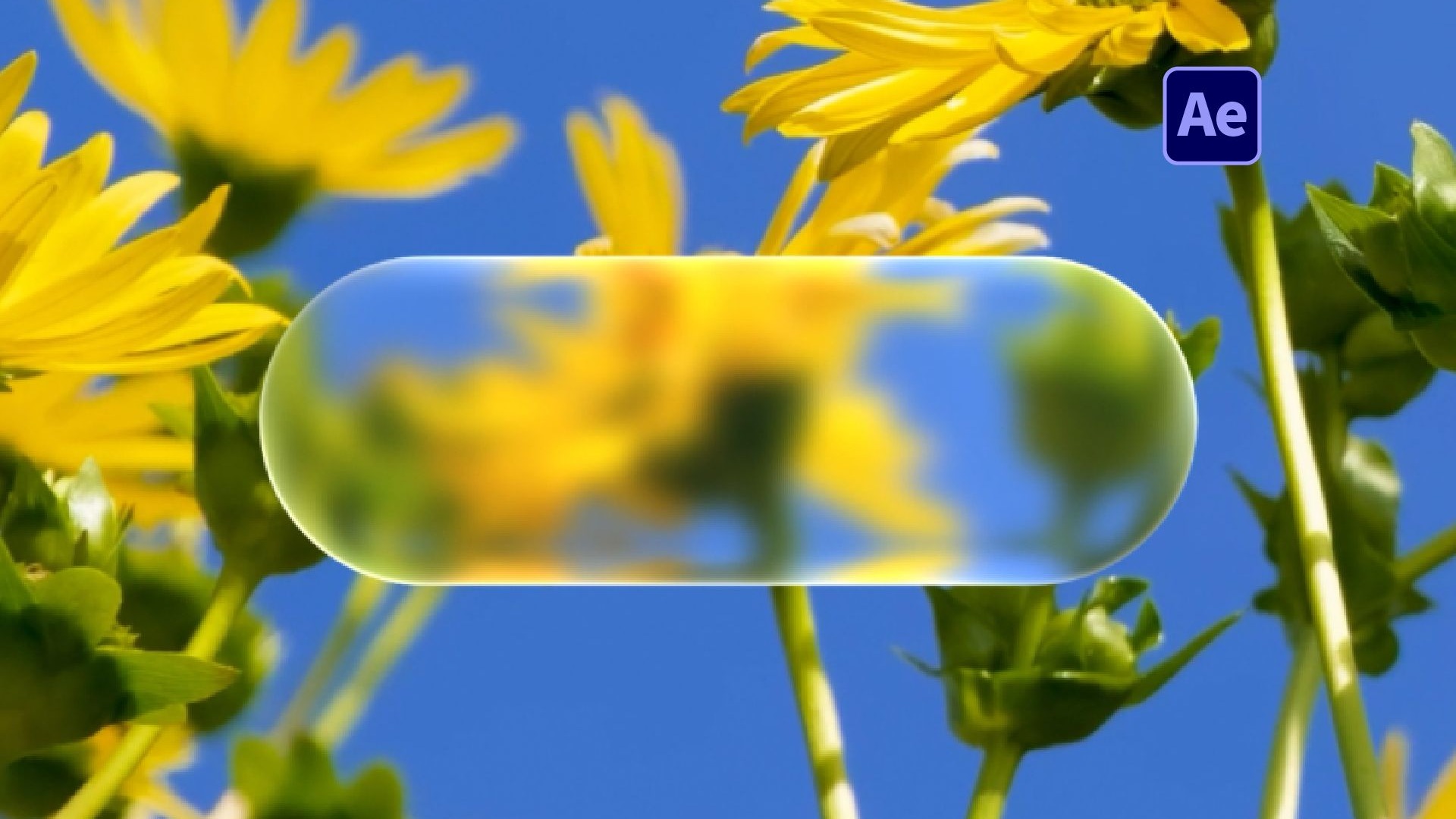 【AE教程】2D自适应模板!苹果液态玻璃动画来了,纯AE制作,100%学会