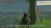 《塞尔达传说旷野之息》该怎么穿越迷途森林