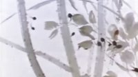 小蝌蚪找妈妈(动画片)