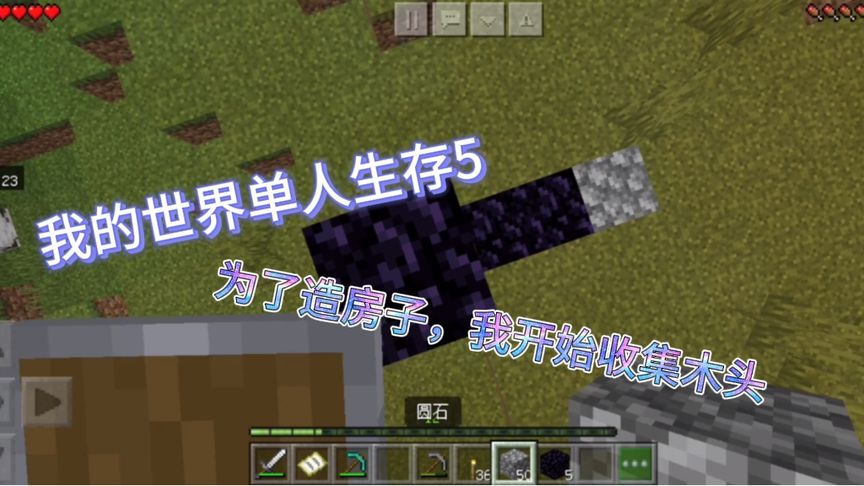 我的世界单人生存5:为了造房子,我开始收集木头