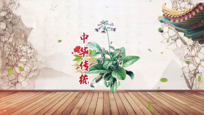 中医药宣传片