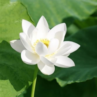 三问玄机八字 