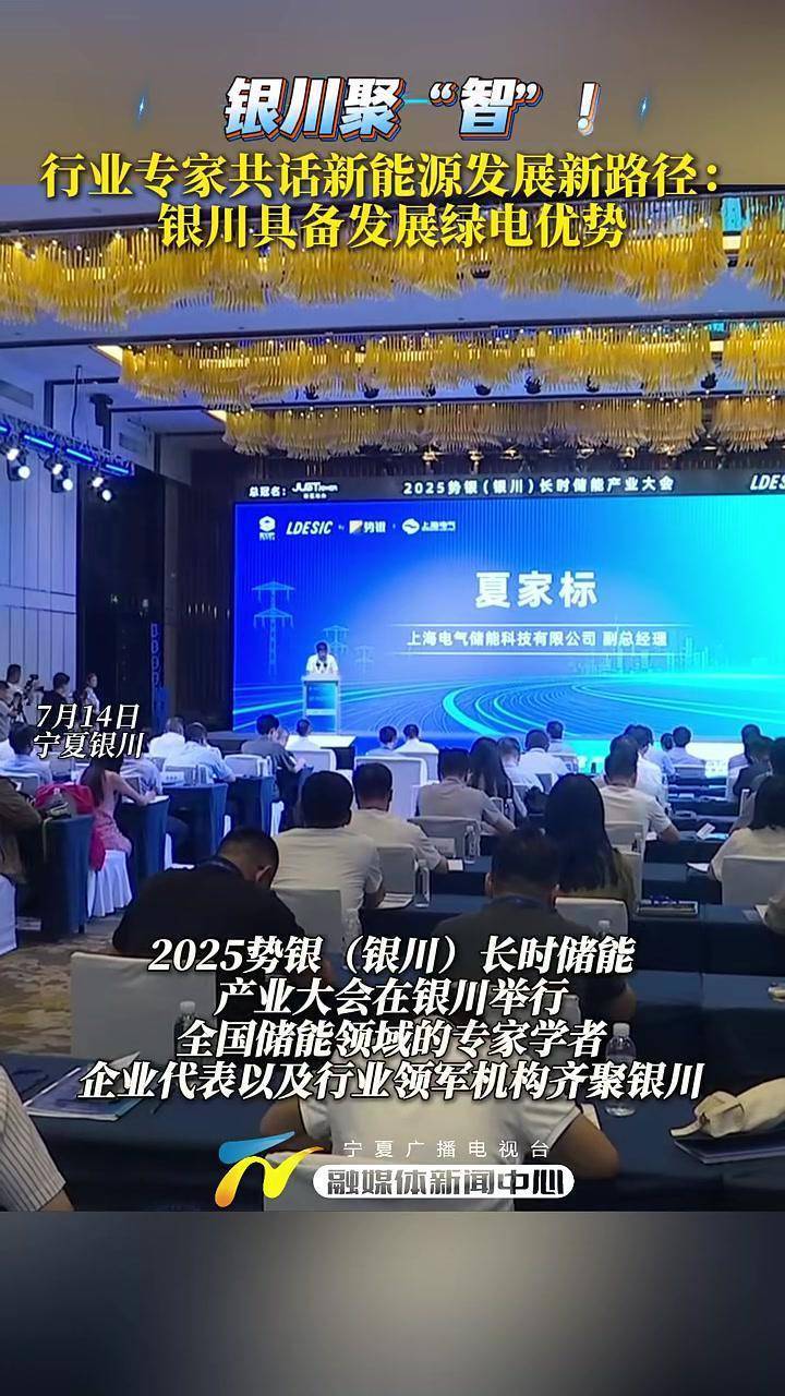 银川聚"智"!行业专家共话新能源发展新路径:银川具备发展绿电优势#...