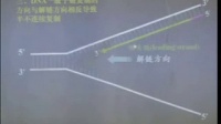 半不连续复制3