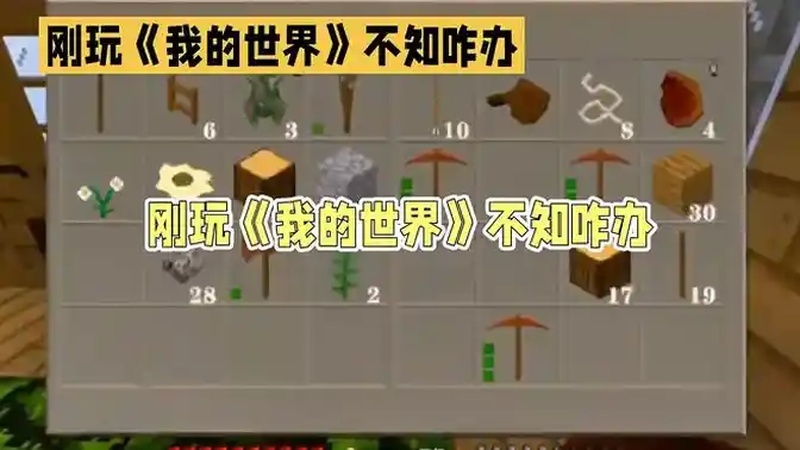 刚玩《我的世界》不知咋办