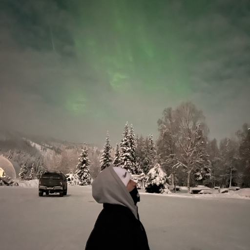 骚姆的小车日记 