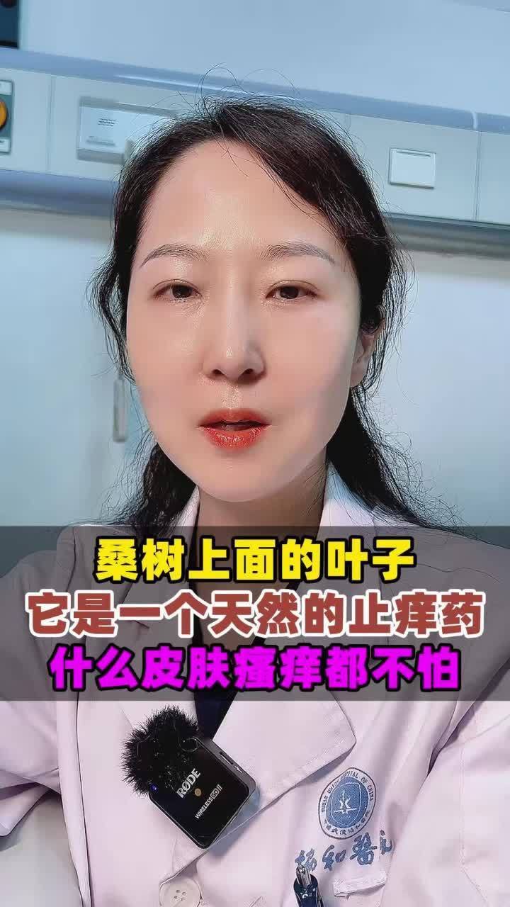 桑树的叶子的用处你知道吗?#皮肤瘙痒