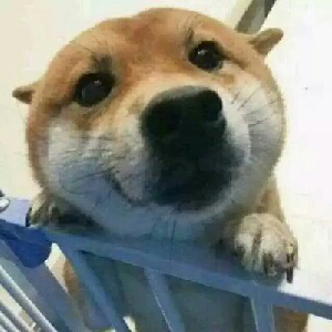 国服第一炒鸡蛋 