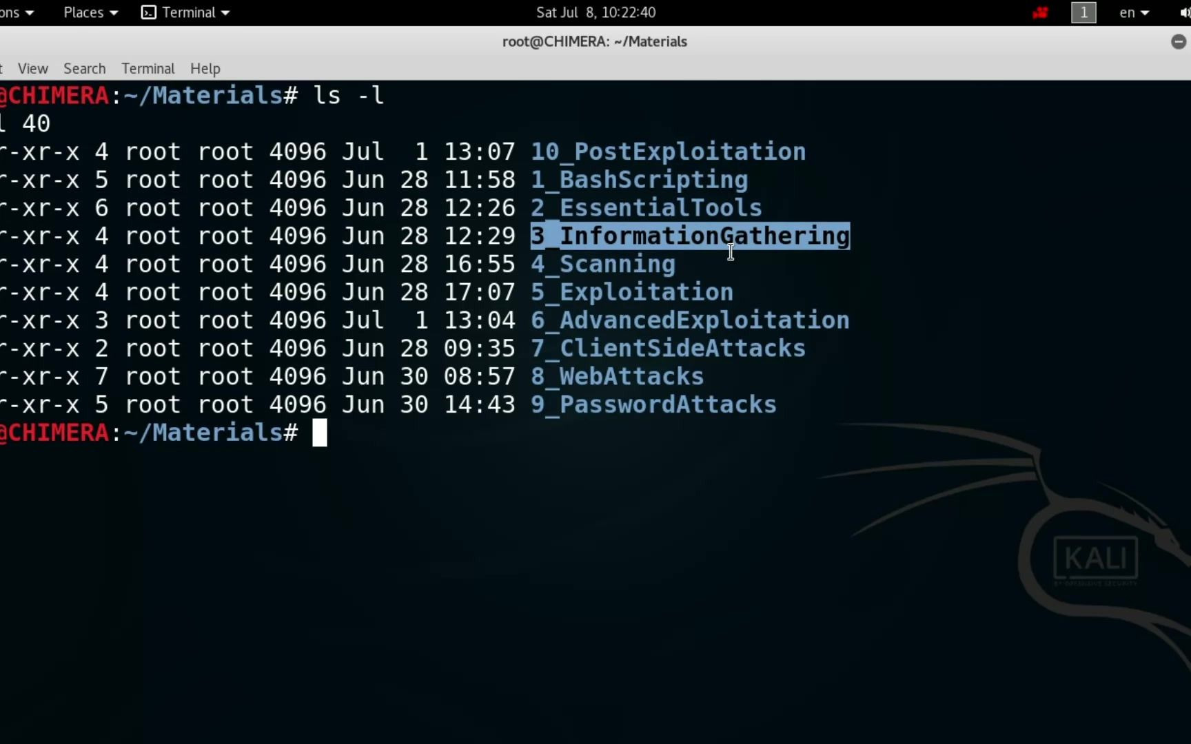Penetration Testing 渗透测试教程 (英文原版)