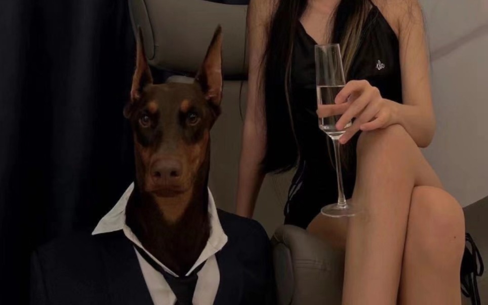 《女性向》Dom与sub