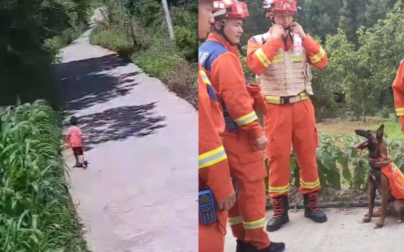 湖北一男童山林中走失 救援人员出动搜救犬 奋战两天两夜安全找回