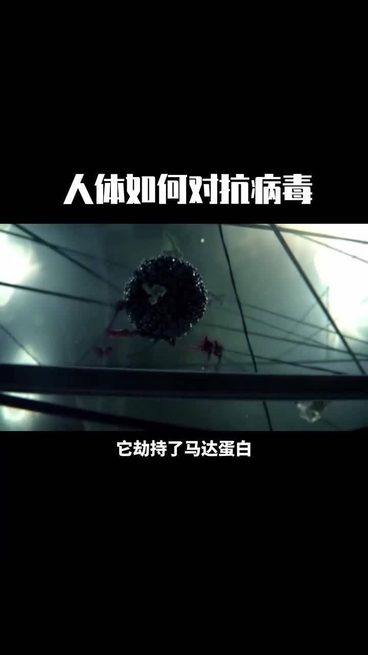免疫系统是如何对抗病毒的?