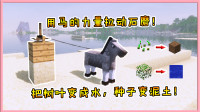 我的世界模组:用马的力量拉石磨!树叶变成水,小麦竟成泥土?