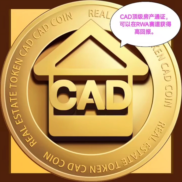 CAD搞房地产项目为什么可以获得高回报?