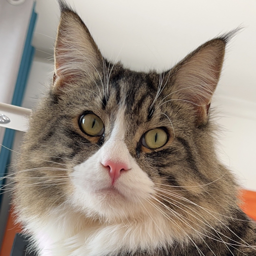 要开心快乐不许emo喔 