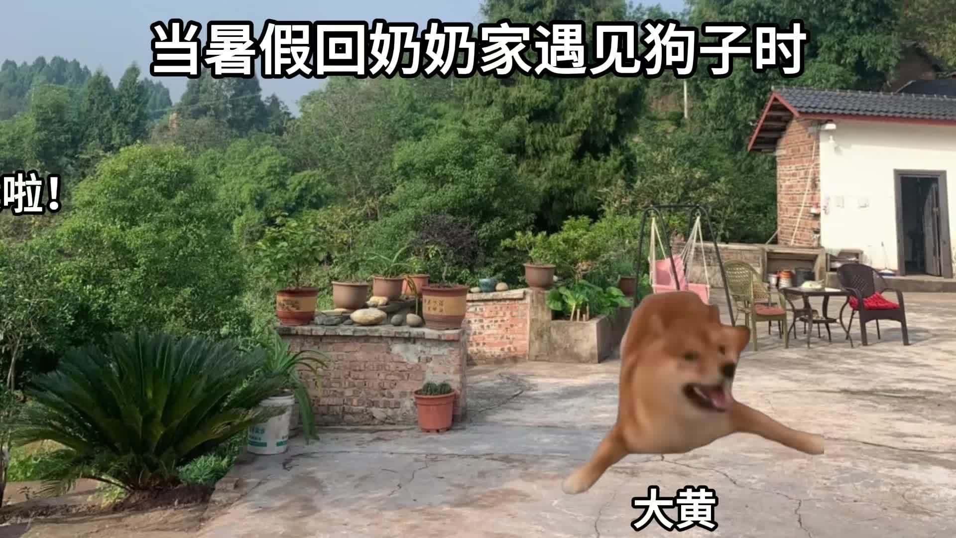 请问你是我的master吗?