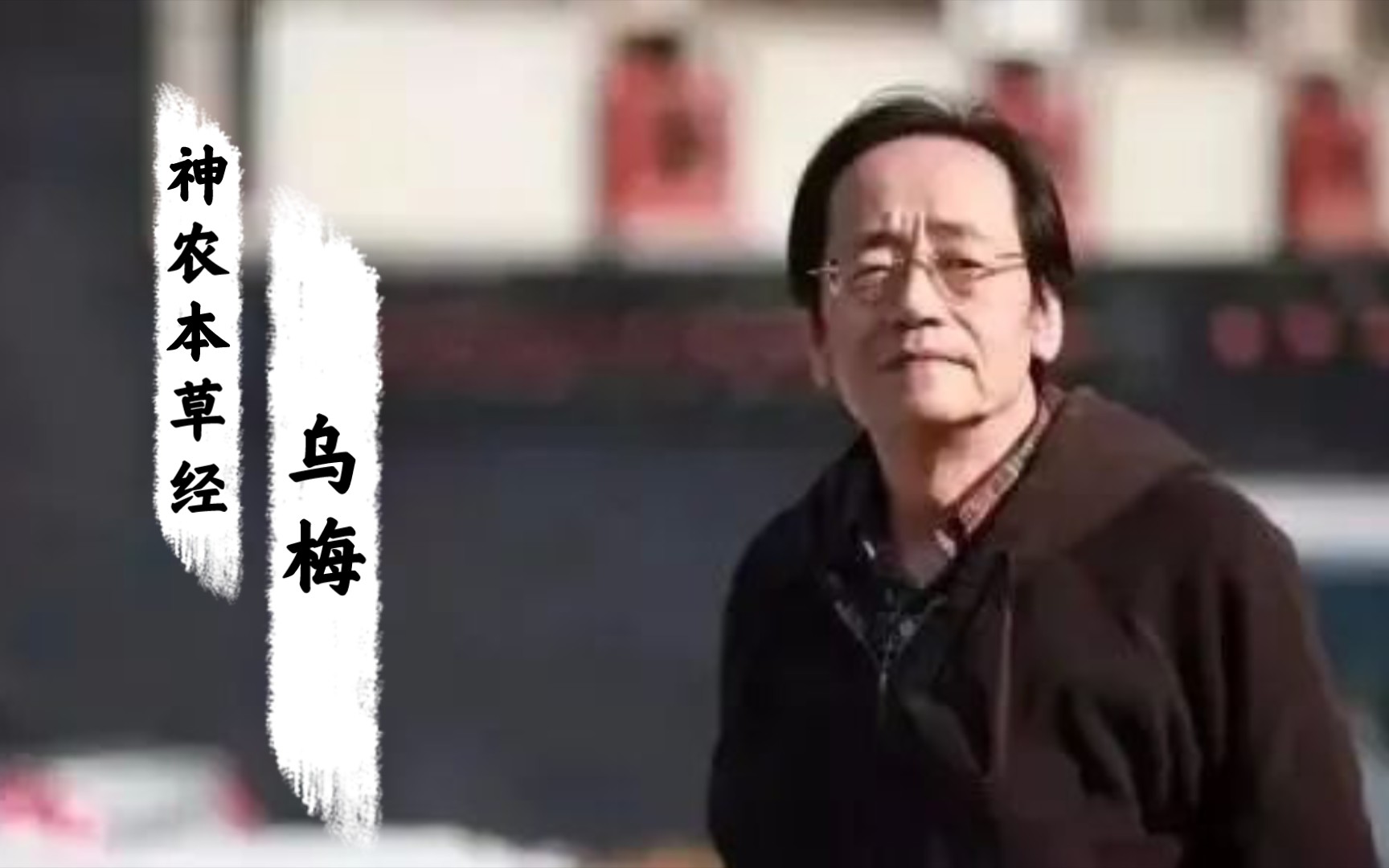 倪海厦解读“乌梅”的药用价值,与临床应用范围