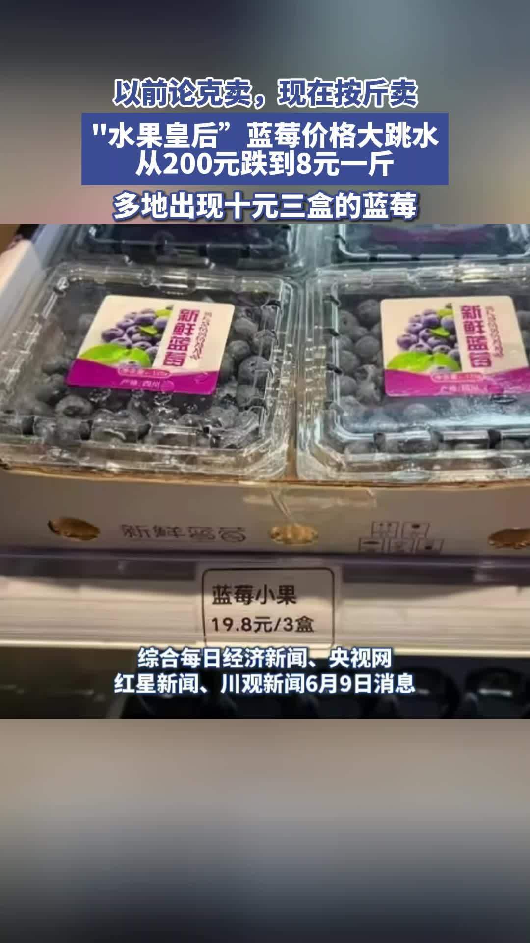 以前论克卖,现在按斤卖,蓝莓价格大跳水从200元跌到8元一斤