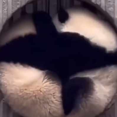 思绘 