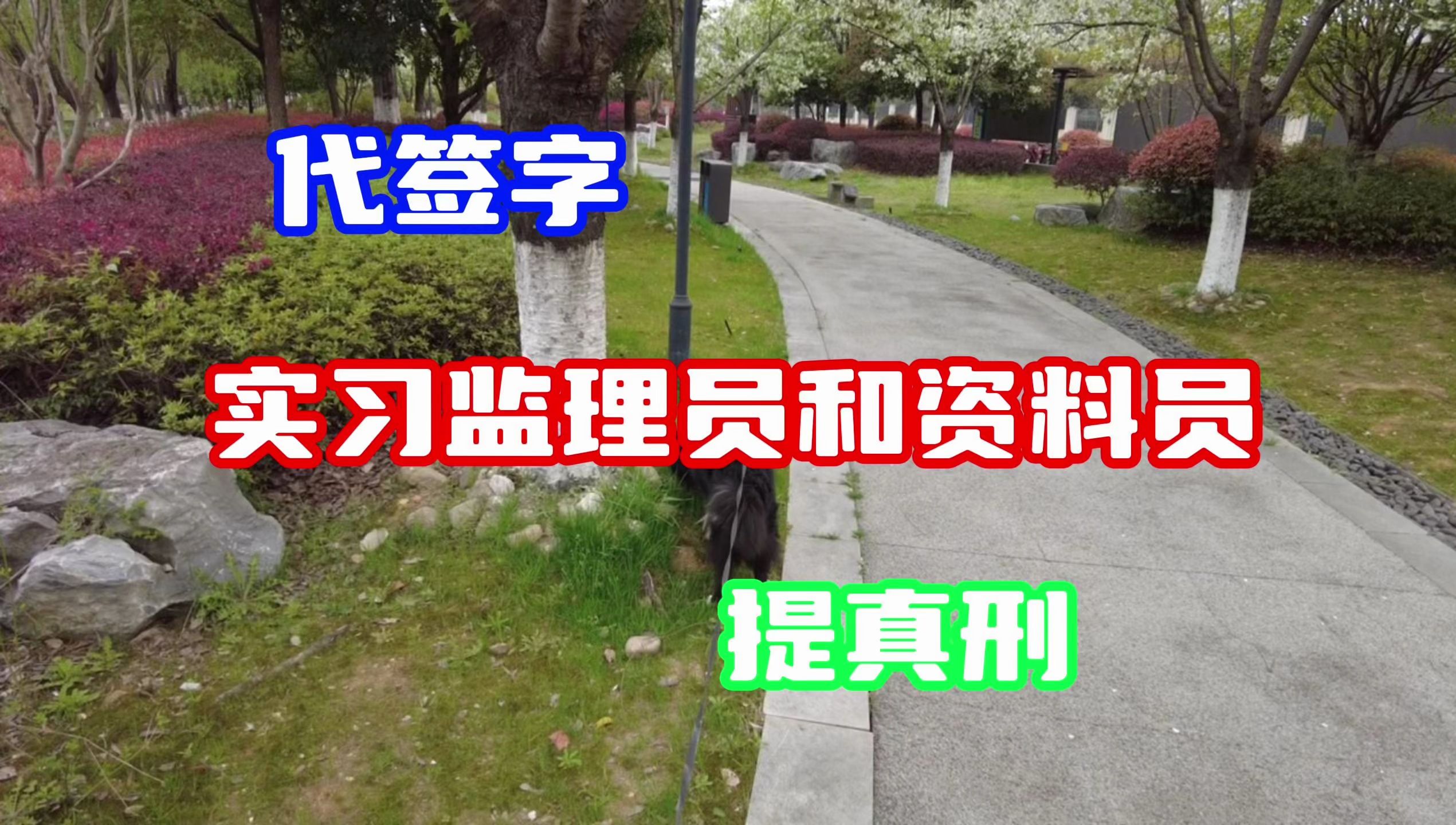 代签字,实习监理员和资料员提真刑