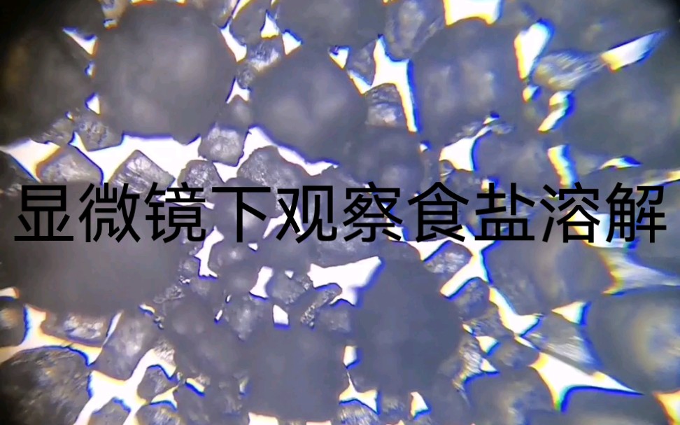 显微镜下观察食盐溶解