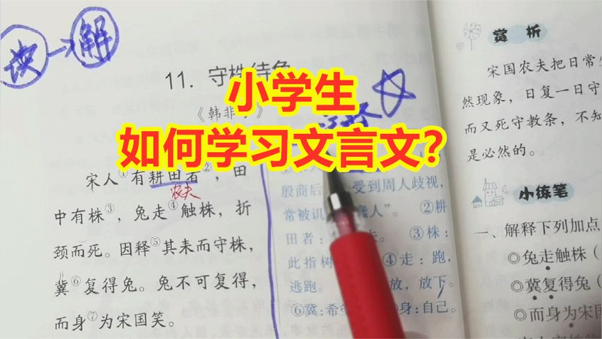 如何学习文言文起步?背诵是基本点,方法最重要,二三年级赶紧学