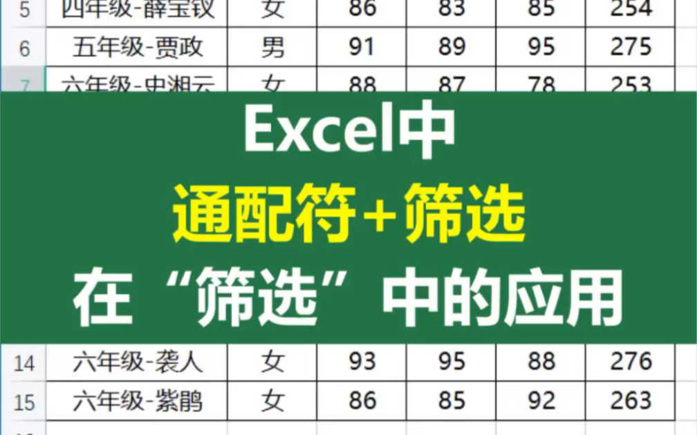 Excel中,“通配符”在“筛选”中的应用