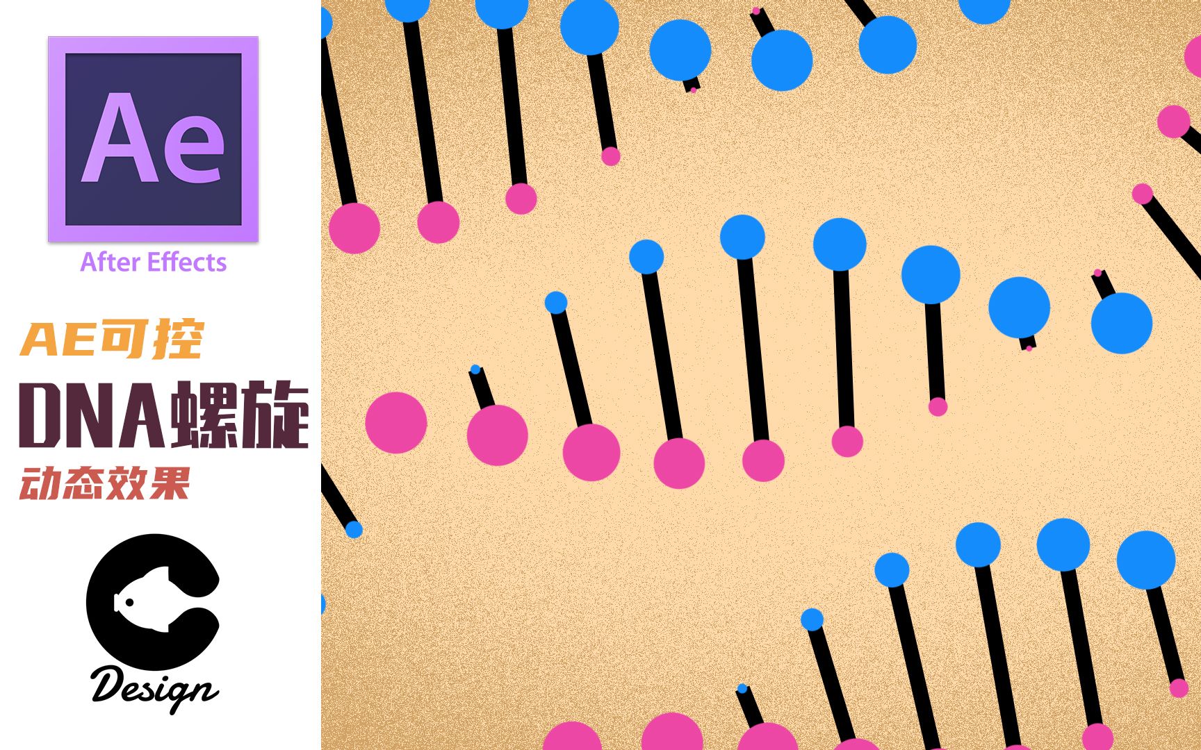 AE可控DNA螺旋动态效果