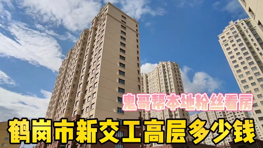 鹤岗市新交工的电梯房真实房价,鬼哥帮本地粉丝找便宜的房子安家