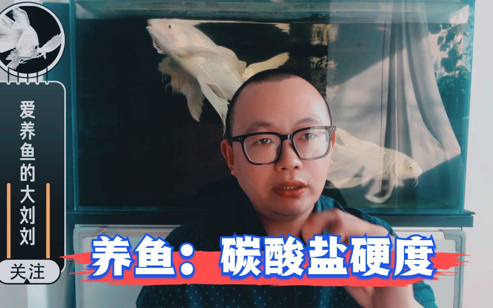 影响一缸好水的重要因素-碳酸盐硬度