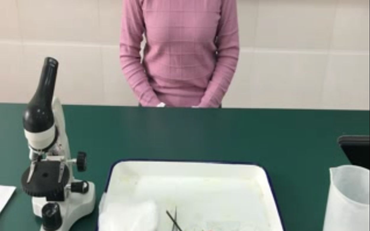 生物实验2:观察水绵的细胞结构