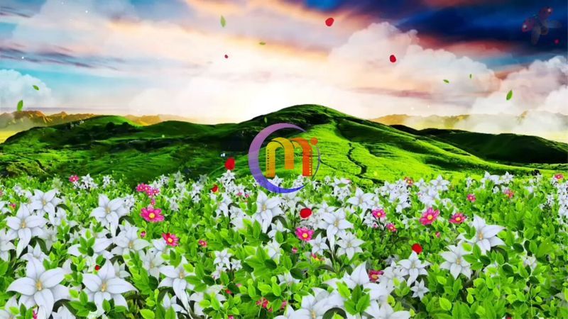 栀子花开舞蹈配乐校园毕业季晚会节目表演高清LED大屏幕视频背景素材