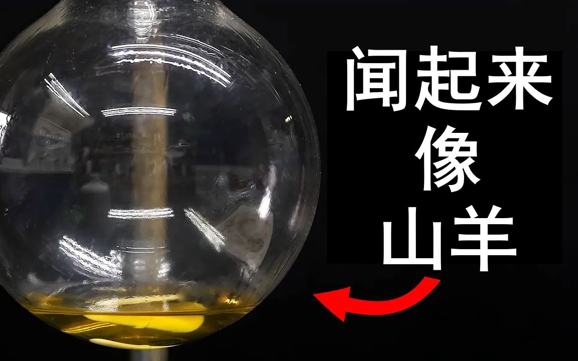 [NileRed]制备山羊味的己酸[中英cc字幕][60FPS]