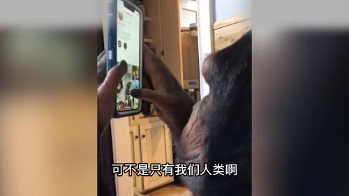 地球上的人族不是只有人类,另一个人族拥有一项比我们厉害的能力