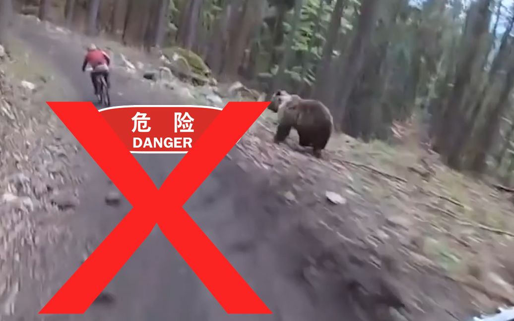 【大周视角】与野生动物接触千万注意 危险随时可能发生!