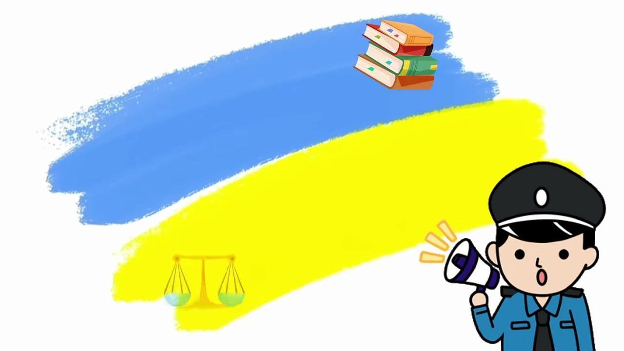 彩虹岛上的审判规则--金川区第三幼儿园国家宪法日模拟法庭活动(视频...