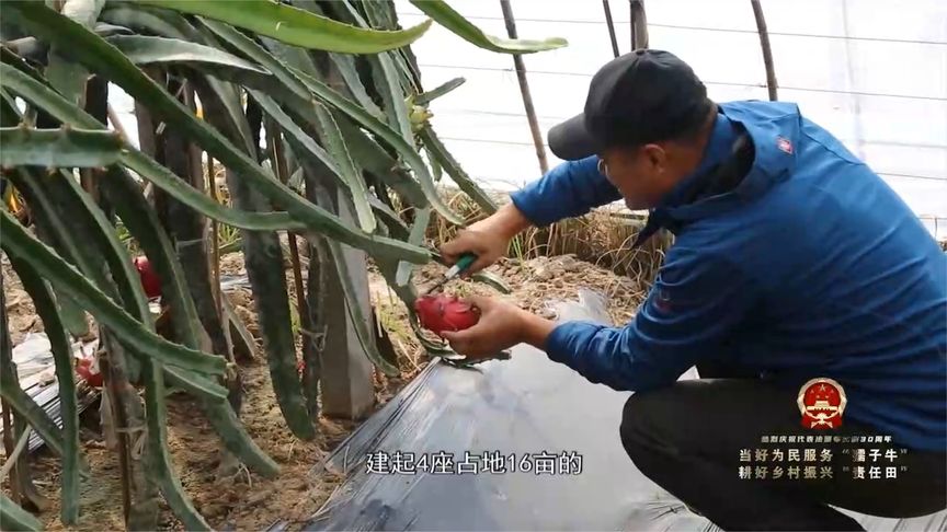 【热烈庆祝代表法颁布实施30周年】垦利区人大代表风采:左传亮