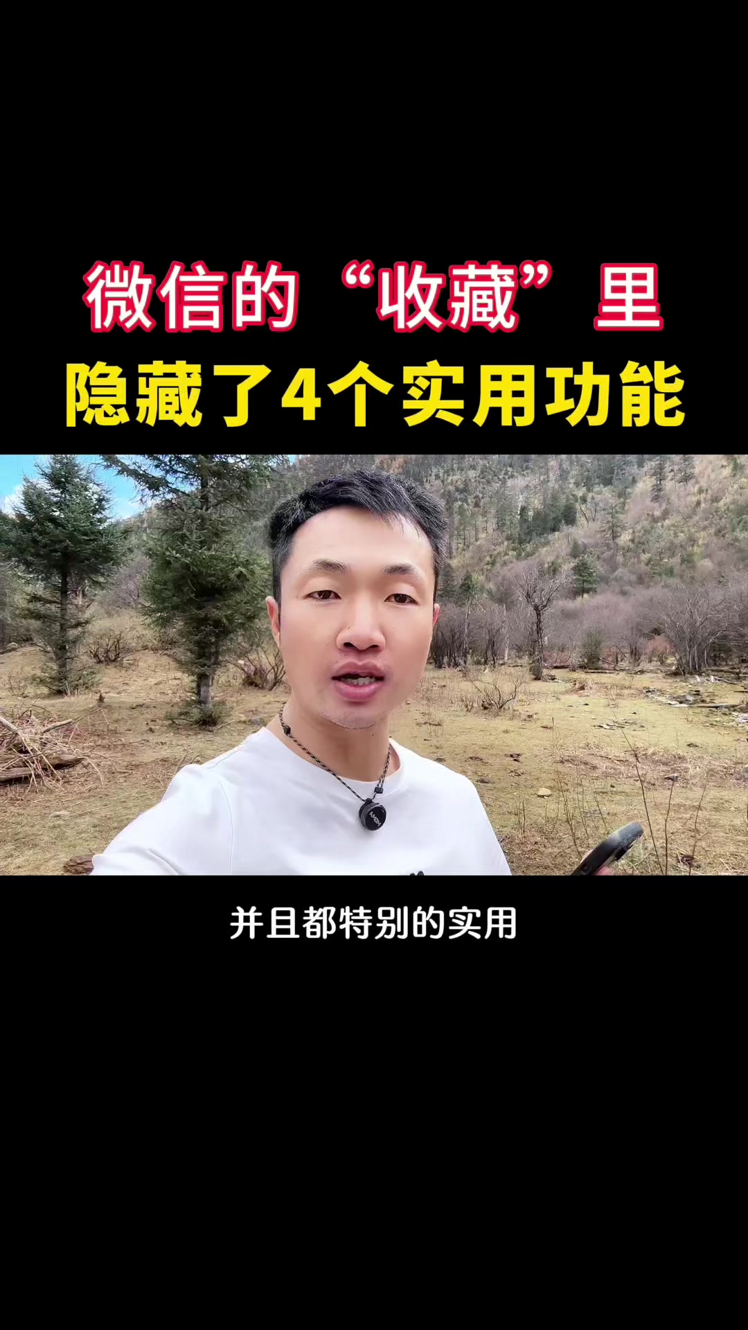 微信里的“收藏”原来有这么多隐藏功能,真是一个万能小助手#微信...