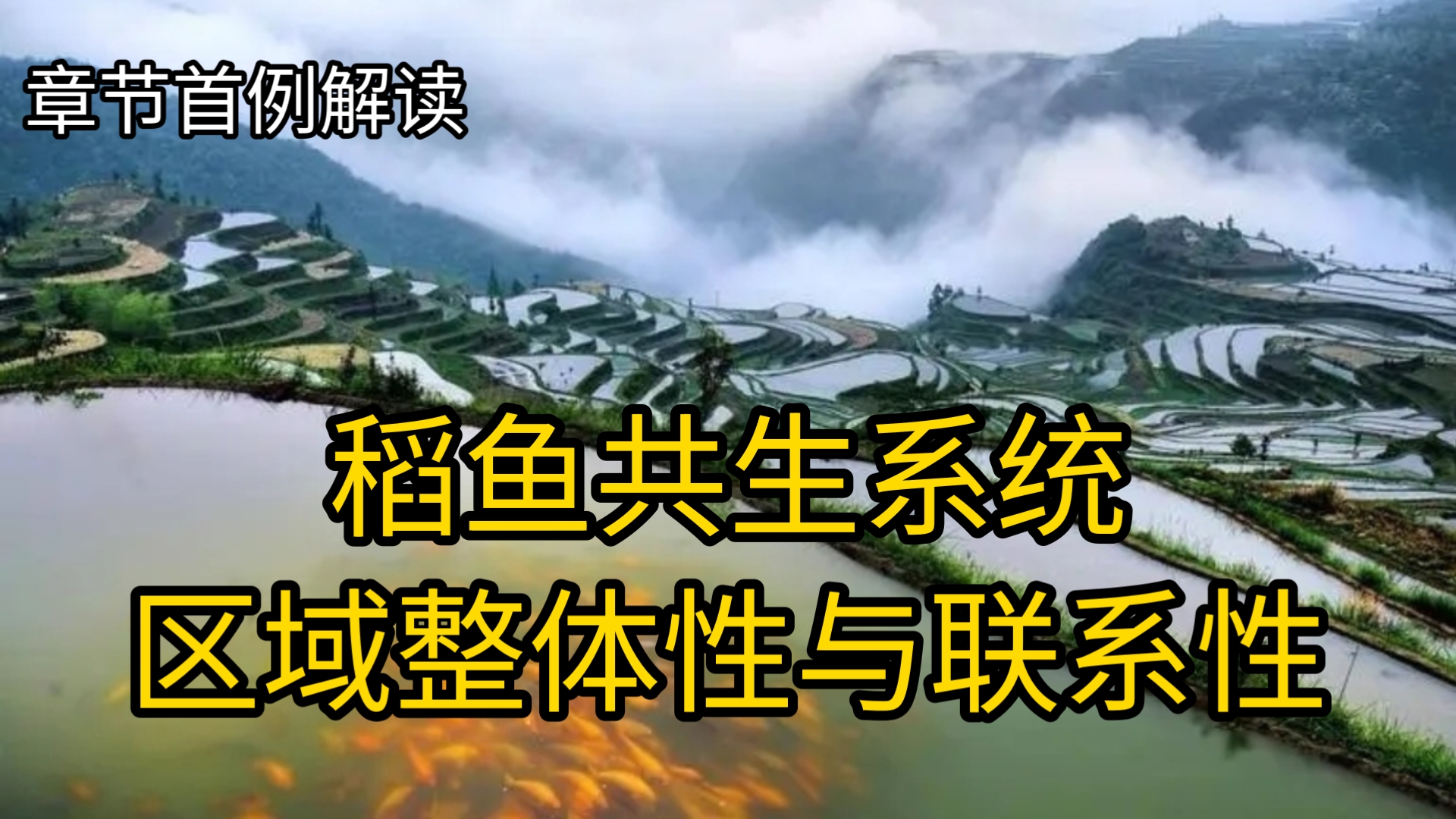 浙江青田县稻鱼共生系统,体现区域整体性与联系性。地理选必二章节...