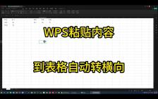 4-22WPS粘贴内容到表格自动转横向