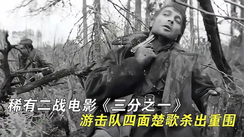 稀有二战电影《三分之一》,四面楚歌杀出重围,信念坚定一战到底