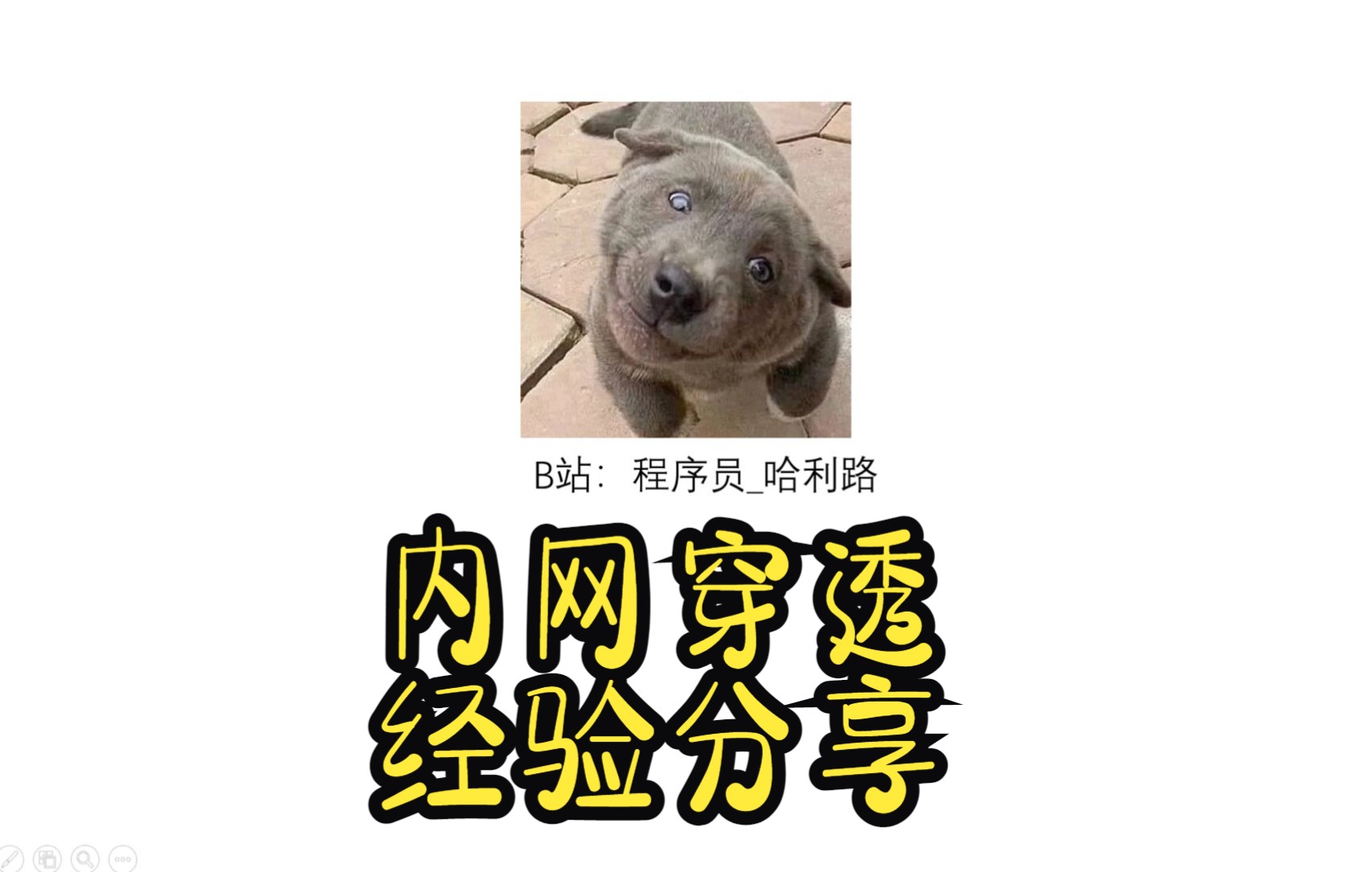 【手把手教你】如何内网穿透.不买服务器也能把服务上公网