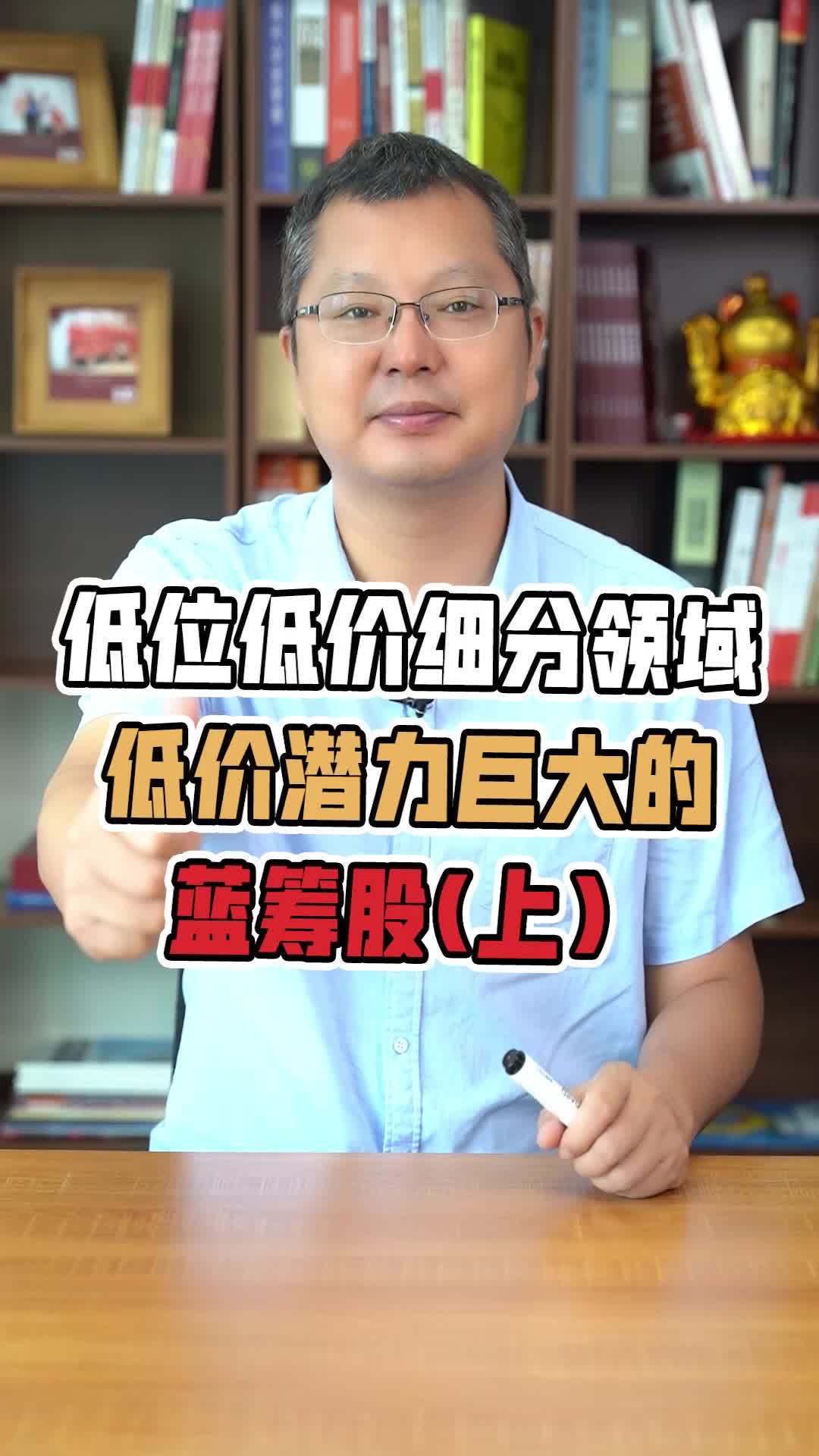 低位低价细分领域潜力蓝筹股!股票 财经 投资