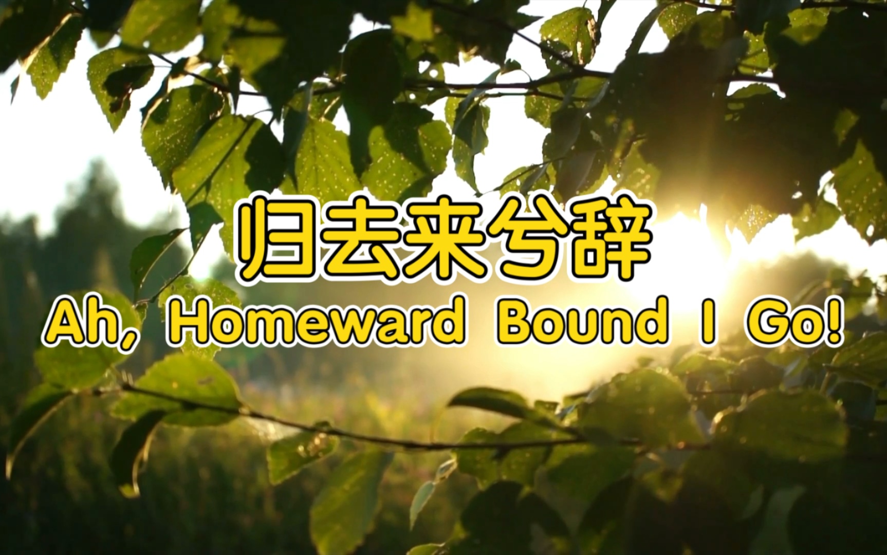 《归去来兮辞》陶渊明 - 朗诵 by 龙盘/郝凡【中英字幕】