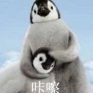 Zzz周脑袋 