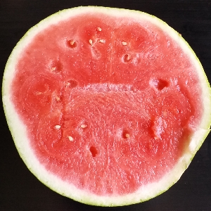 行进中的三娃爸 