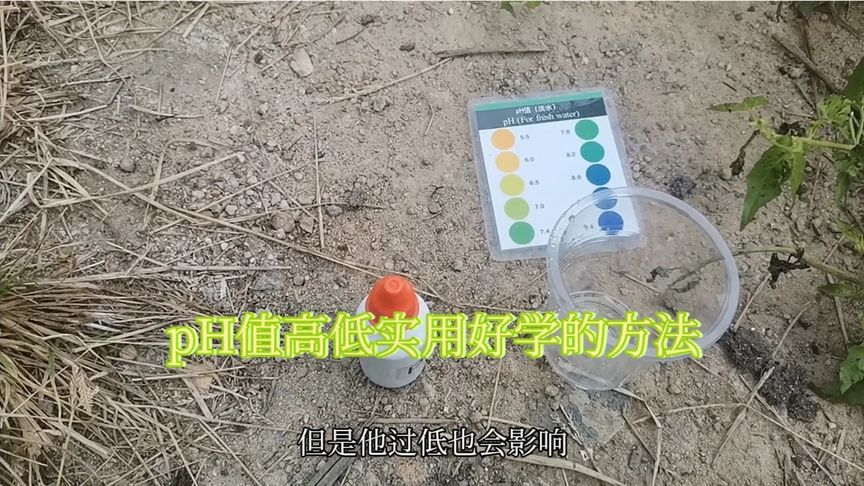 现场教大家检测pH值过高或过低,谁都学会的方法和怎样用药告诉您