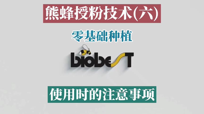 零基础种植——熊蜂授粉技术(六)使用时的注意事项