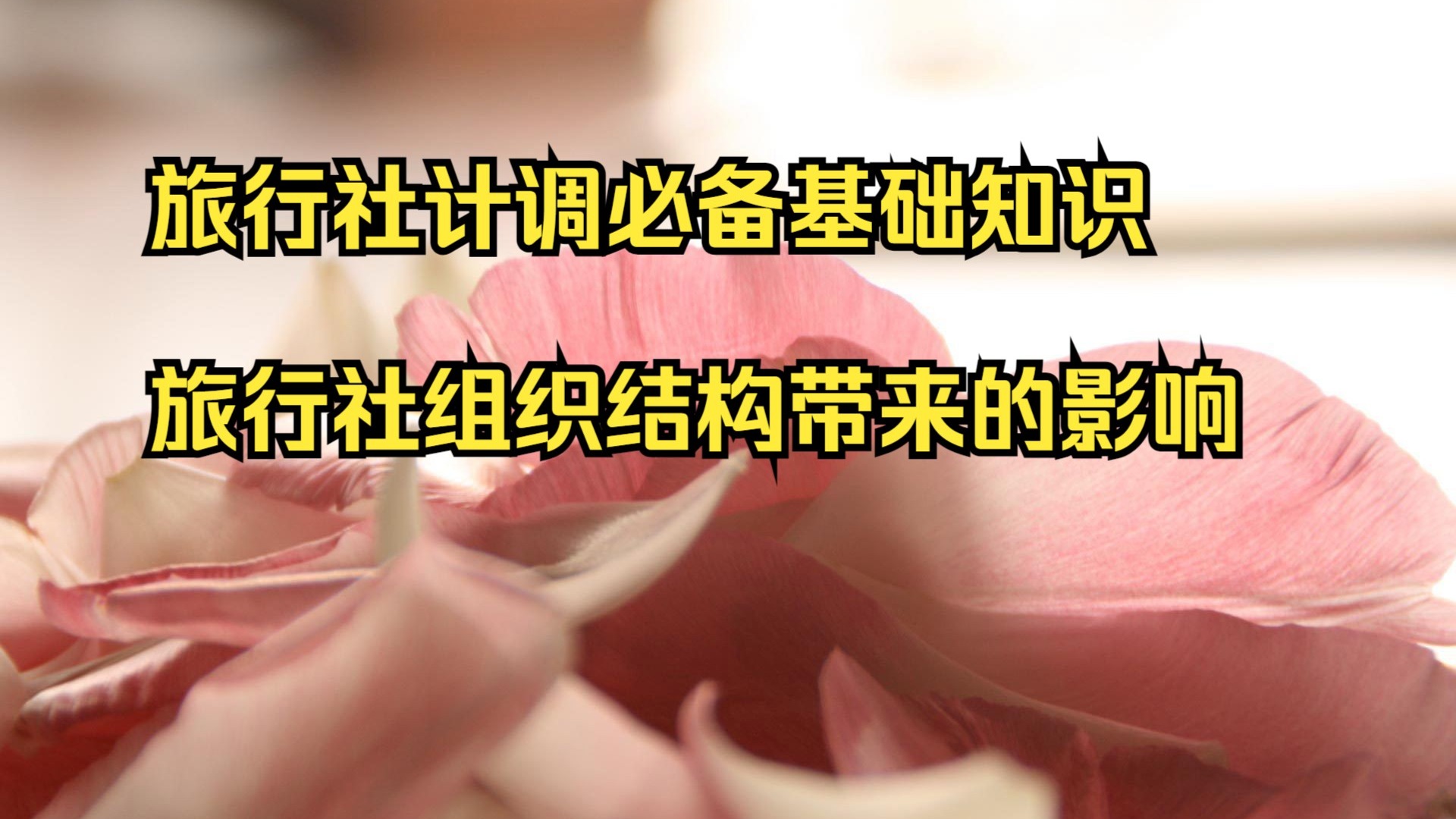旅行社计调必备基础知识 旅行社组织结构带来的影响 旅行社安全教育